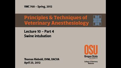 10:4 Swine intubation - OSU MediaSpace