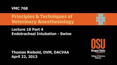 10 04 Intubation - Swine - OSU MediaSpace