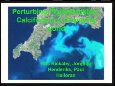 PAGES - Ros Rickaby - Perturbing phytoplankton: Calcifiers in a ...
