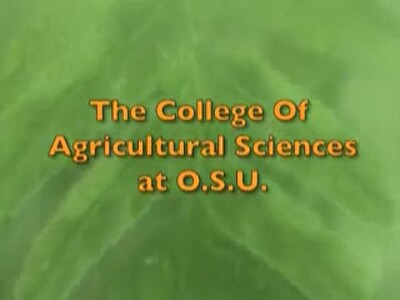 Green Roof Research Project - OSU MediaSpace