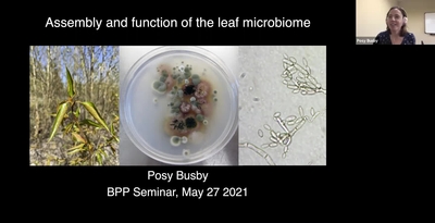 BPP Spring Seminar Series: Dr. Posy Busby - OSU MediaSpace