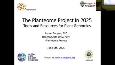 BPP Spring 2025 Seminar Series: Laurel Cooper and Parul Gupta - OSU ...