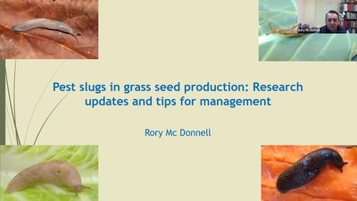 Field Crops Coffee Hour - October 31 2023 - Slug Management - OSU ...