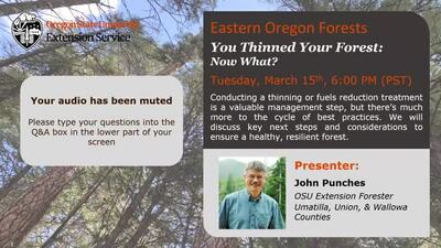 You thinned your forest. Now What? Eastern Oregon Forests, Winter ...