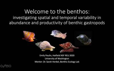 EMILY POULIN SURS video - OSU MediaSpace