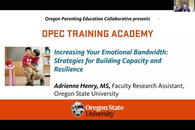 Increasing Your Emotional Bandwidth: Strategies for Building Capacity ...