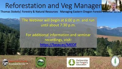 Managing Eastern Oregon Forests: Reforestation and Vegetation ...
