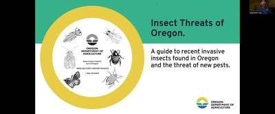 **Insect Threats of Oregon: Recent Introductions and Current Threats ...