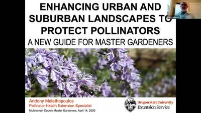 Pollinators and Gardens - OSU MediaSpace