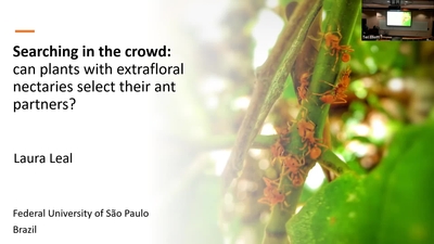 Laura Leal Seminar 11.29.22 - Clemson University