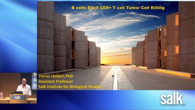 Dan Hollern - B cells Elicit CD8+ T cell Tumor Cell Killing - Salk ...