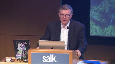Terrence Sejnowski - Brains and AI - Salk Institute