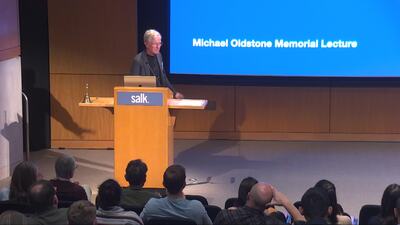 Marc Jenkins - A general model of helper T cell specification to ...