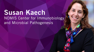 From Then to When | Meet Salk Scientists | Susan Kaech - Salk Institute