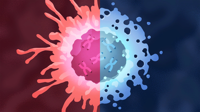 Beyond-Lab-Walls-Laura-Mainz - Salk Institute