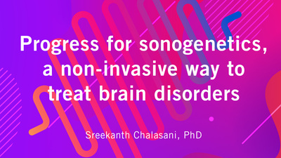 Progress for sonogenetics, a non-invasive way to treat brain disorders ...
