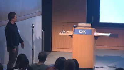 Ellen Rothenberg - Speed and trajectory controllers for the T-cell ...