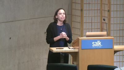 Diana Hargreaves – Epigenetics of Cancer - Salk Institute