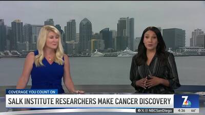 Salk Institute Researchers Make Cancer Discovery - Salk Institute