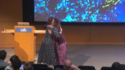 Anna-Maria Globig - Adrenergic receptors regulate T cell ...