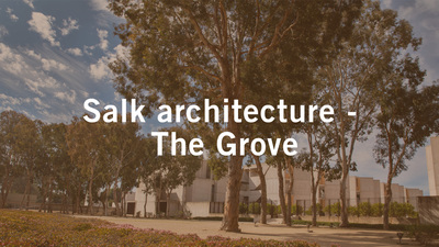 Salk architecture - The Grove - Salk Institute