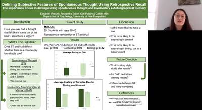 Defining Subjective Features of Spontaneous Thought Using Retrospective ...