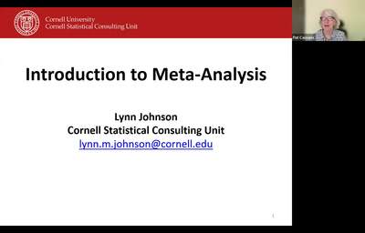 11_Seminar: Introduction to Meta-Analysis - Video on Demand