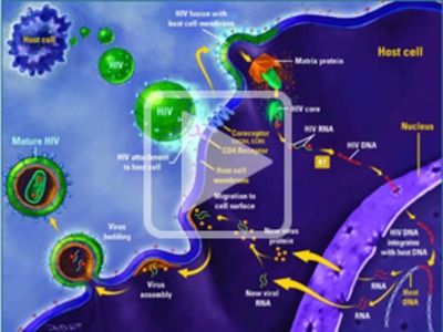 A New Platform for Discovery of Novel HIV Host-Pathogen Interactions ...