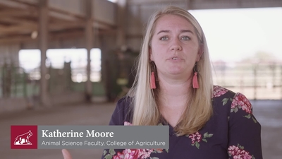 Animal Science Recruiting Video 2022 - Short Version - CSU Chico Media