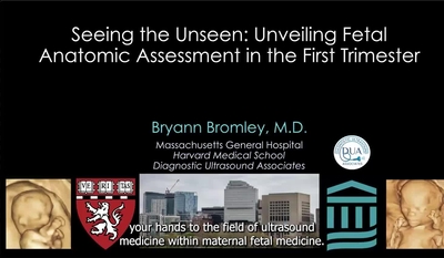 Seeing the unseen: Unveiling fetal anatomic assessment in the first ...