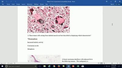 Histology and Pathology Intersession 2A - 5/5/17 - MSU MediaSpace