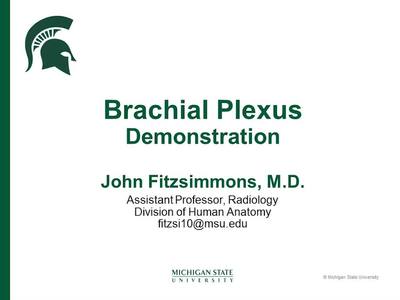 Brachial Plexus Rope Demo - Fitzsimmons - MSU MediaSpace