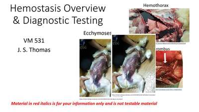 VM 531-Hemostasis Overview (FS21) - MSU MediaSpace