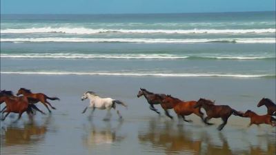 A sample video included with Microsoft Windows - MSU MediaSpace