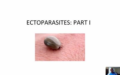 HM-863-Module-Five-Lecture-Ectoparasites-Part-I - MSU MediaSpace