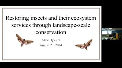 Alice Dykstra Defense Seminar - Restoring insects and their ecosystem ...