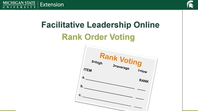 Rank Order Voting Facilitative Leadership Online - MSU MediaSpace