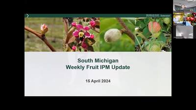 South Michigan Fruit IPM Update Apr15 2024 - MSU MediaSpace