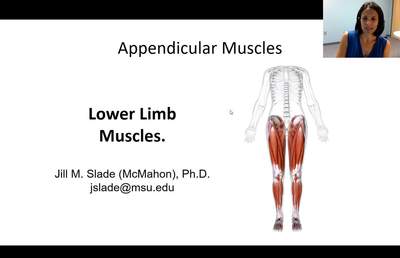 LL Muscles Part I - MSU MediaSpace