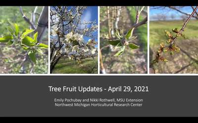 NW MI IPM Update - April 29, 2021 - MSU MediaSpace