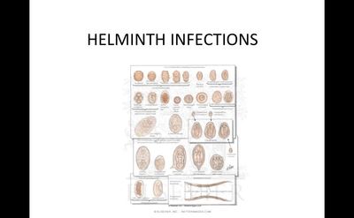 Module-TWO-Helminth-Infection-HM-863 - MSU MediaSpace