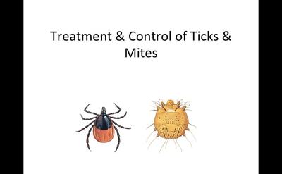 Control-of-ticks-mites-HM-887-week-14 - MSU MediaSpace