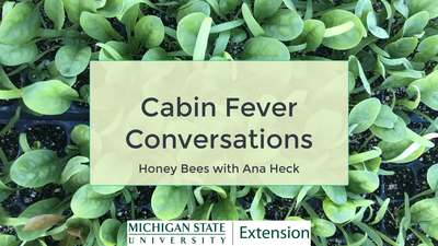Cabin Fever Conversations - Honeybees with Ana Heck - MSU MediaSpace