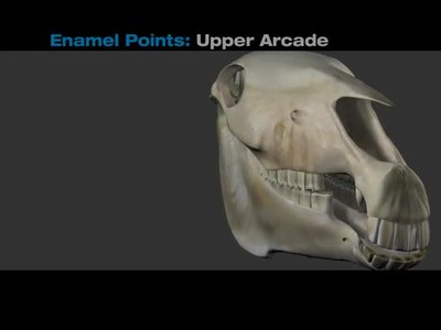 Floating Theory-Part 3 - MSU MediaSpace