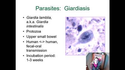IM618 - Diarrhea 3: Parasites and Inflammatory Diarrhea - MSU MediaSpace