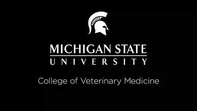 VM 531-WBC 1 - Appearance review - MSU MediaSpace