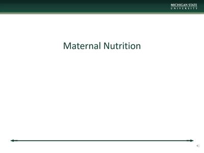 Module 9- Maternal Nutrition - MSU MediaSpace