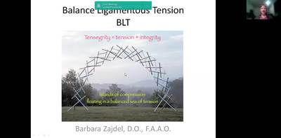 BLT ppt - MSU MediaSpace