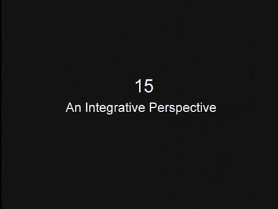 15 - An Integrative Perspective - MediaSpace - Bellevue University