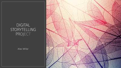 Digital Storytelling Project - MediaSpace